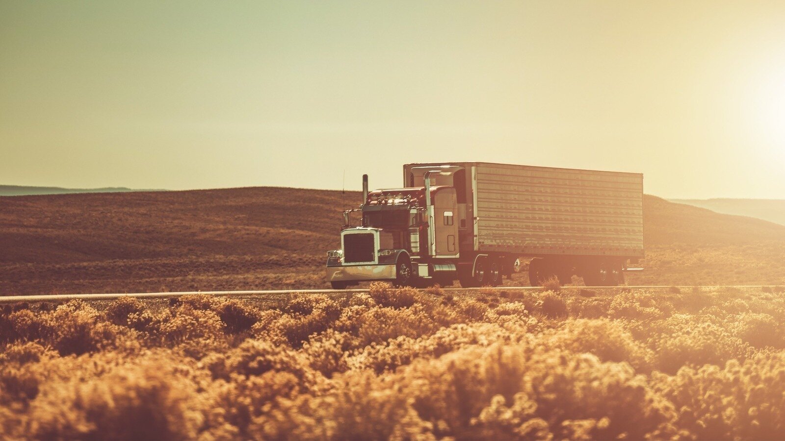 Petition · Implement a Timeline for FMCSR 385 . 17 Review and Response ...