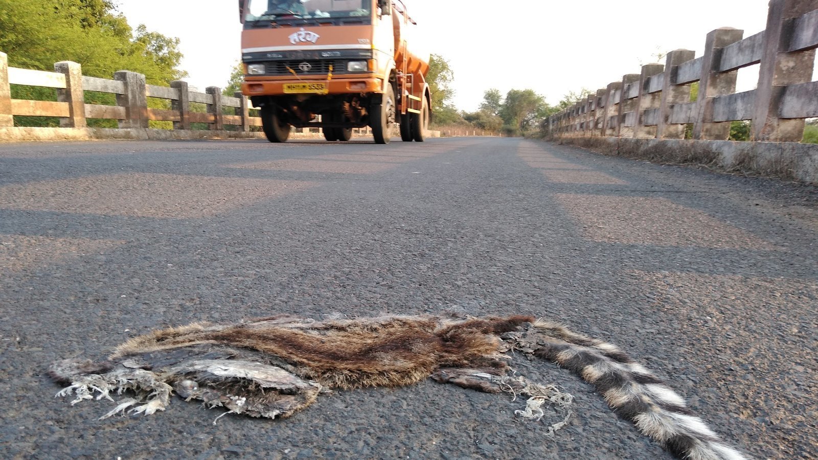 Petition · Save Dandakaranya - India · Change.org