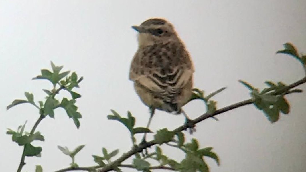 Petition update · Say bye bye to your little oasis of calm. · Change ...