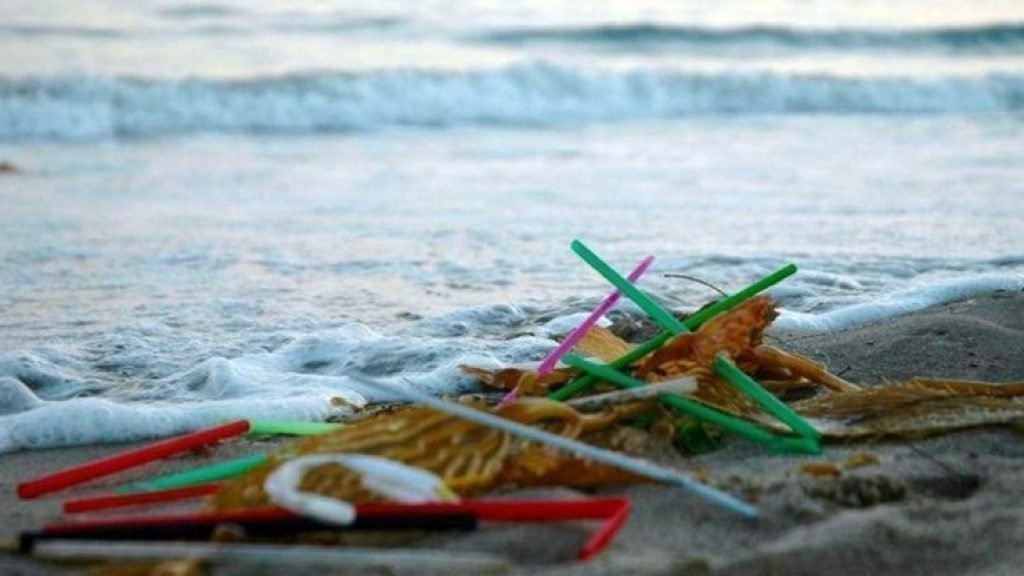 Petition · Stop using straws at fast food restaurants! - United States ...
