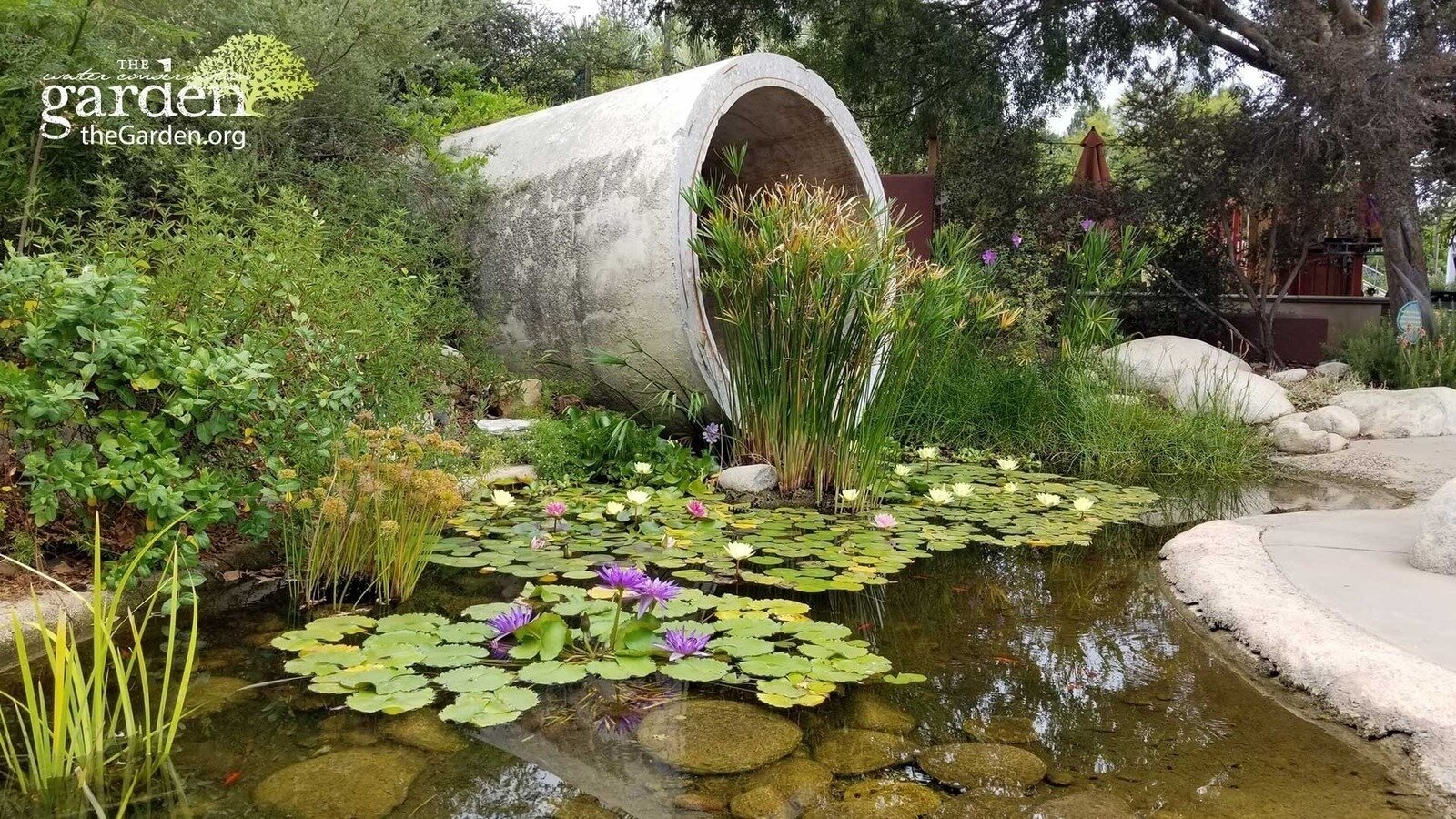 Petition · SAVE THE WATER CONSERVATION GARDEN - United States · Change.org