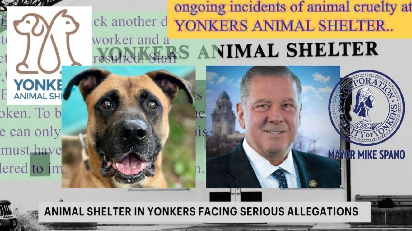 Petition update · Urgent Update: 1,694 Voices Strong – But the Mayor ...