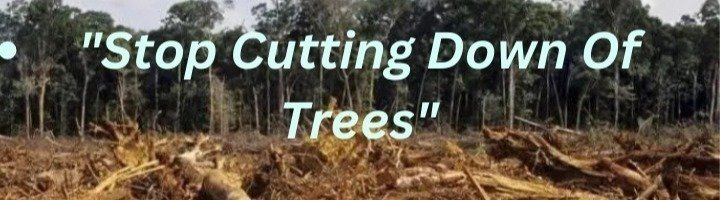 Petition · Stop Cutting Down Of Trees. - Philippines · Change.org