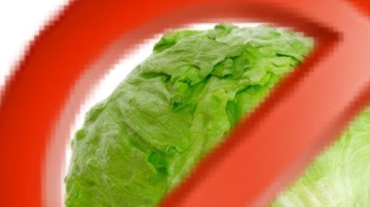 Petition · NO MORE LETTUCE - United States · Change.org
