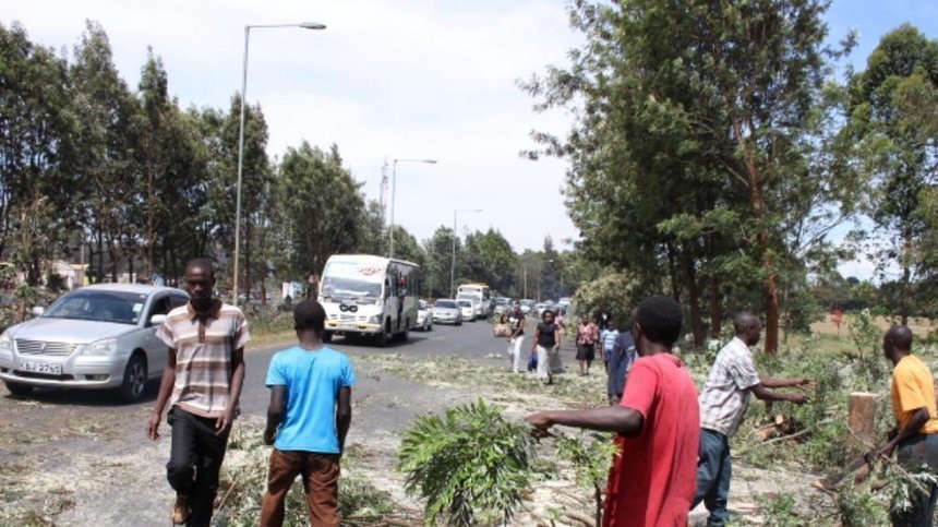 Petition · Keep Waiyaki Way green, by stoping the indiscriminate ...