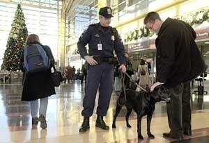 Petition · Replace the TSA with Retired Military Working Dogs - United ...