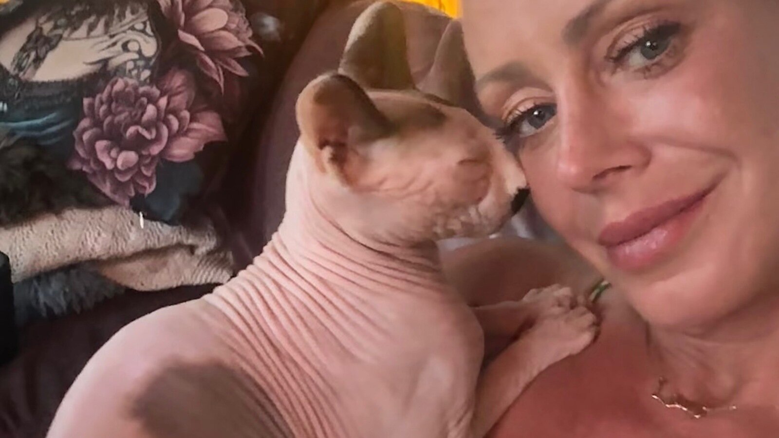 Petition · Justice for Leonard the cat - Canada · Change.org