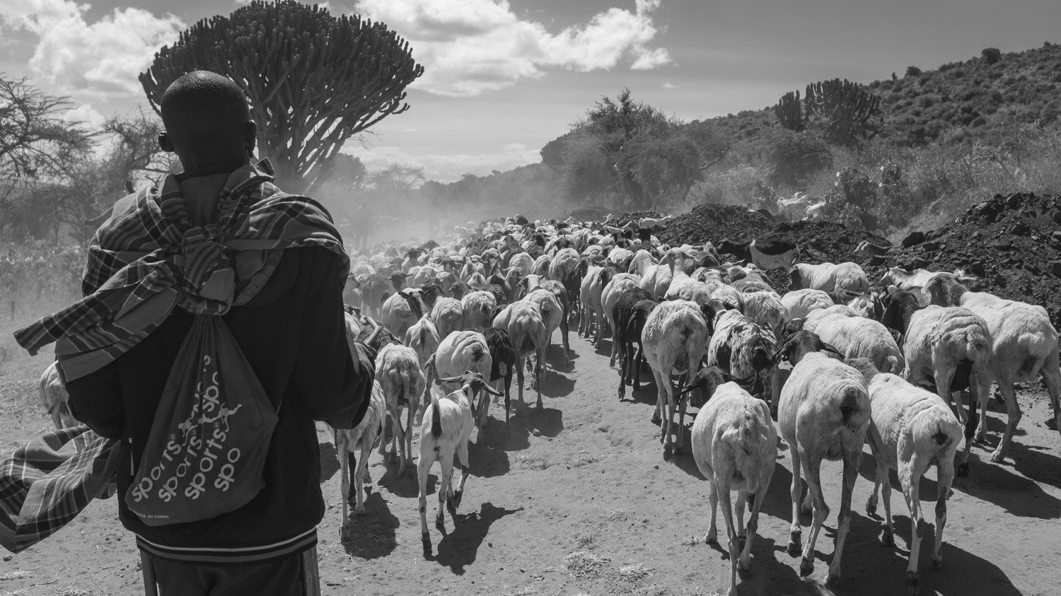 Petition · Release 24 Tanzania Maasai leaders and activists from ...