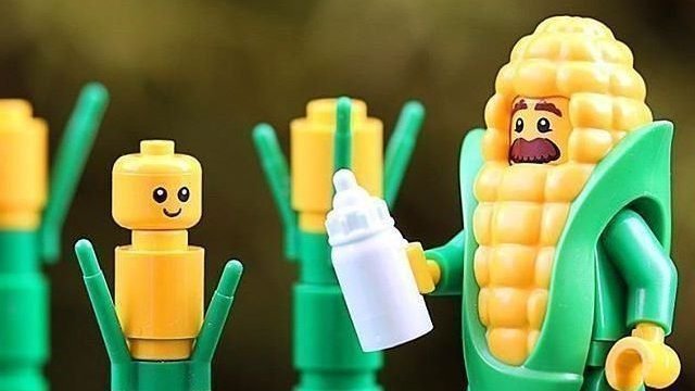 Petition · Add Corn Cob Guy to lego worlds - United States · Change.org