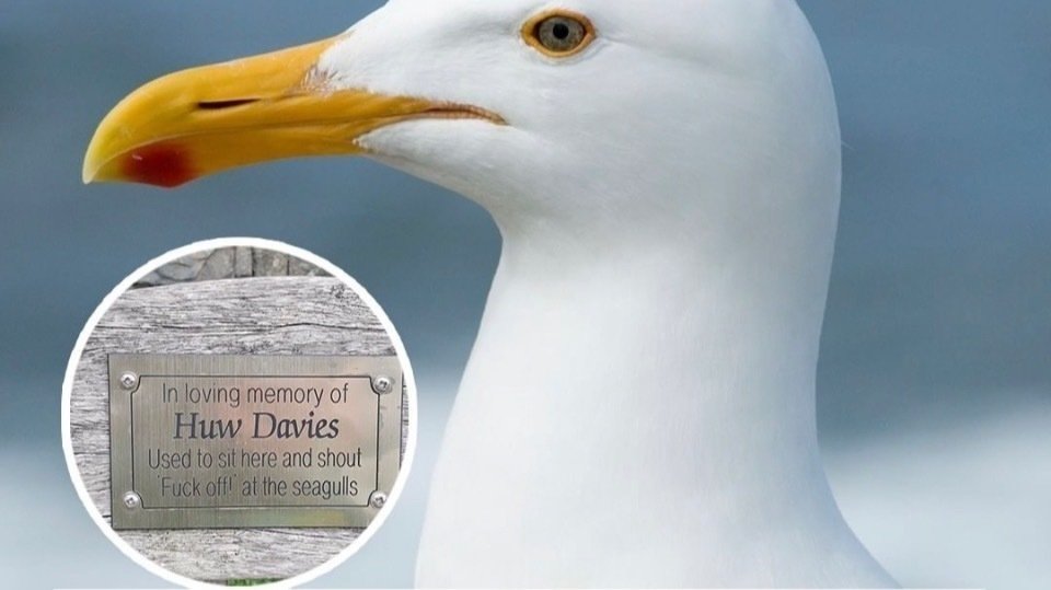 Petition · To Put Back Huw Davis’s Plaque At Aberystwyth Castle Grounds ...