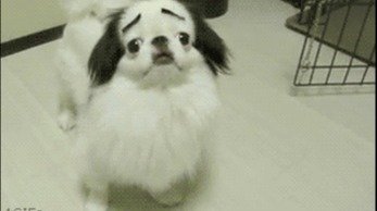 Petition · Banning IXL because IXL is rigged and it is a waste of time ...