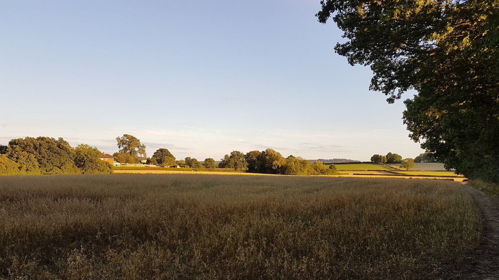 Petition · Save Staplehurst from more development - remove Henhurst ...