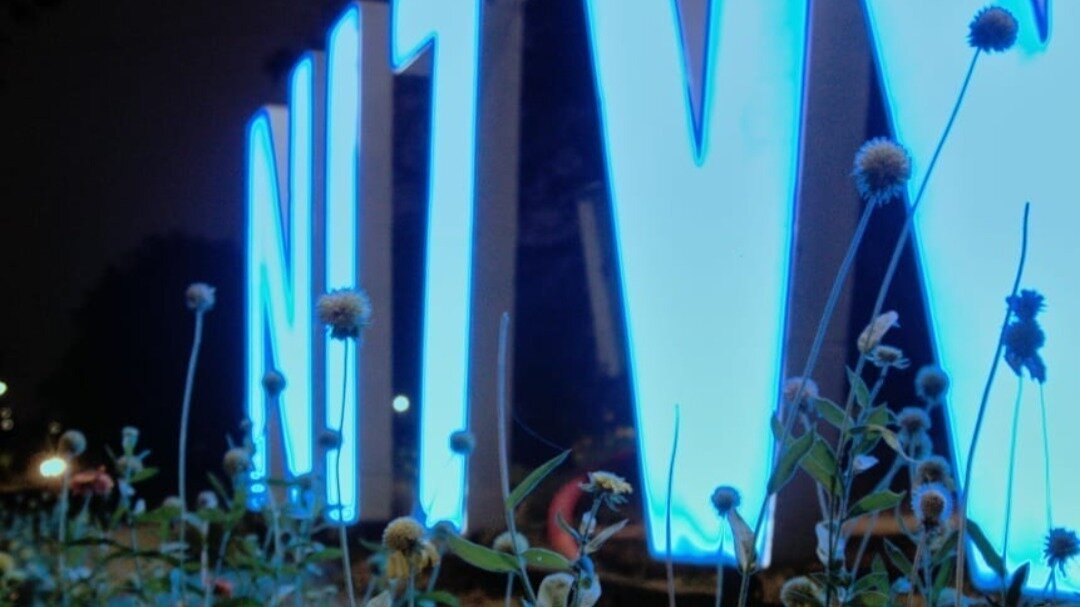 Petition · NITW to Include Non-Vegetarian Options in the Menu ...