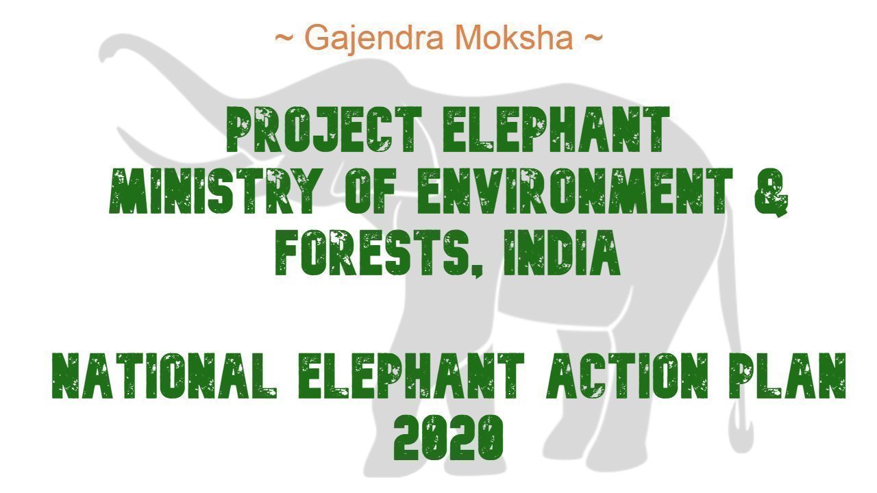 Petition · Plea to National Elephant Action Plan Committee 2020 - India ...