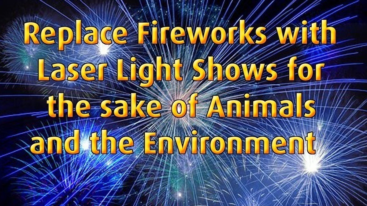 Petition · Replace Fireworks with Laser Light Shows for the Sake of ...