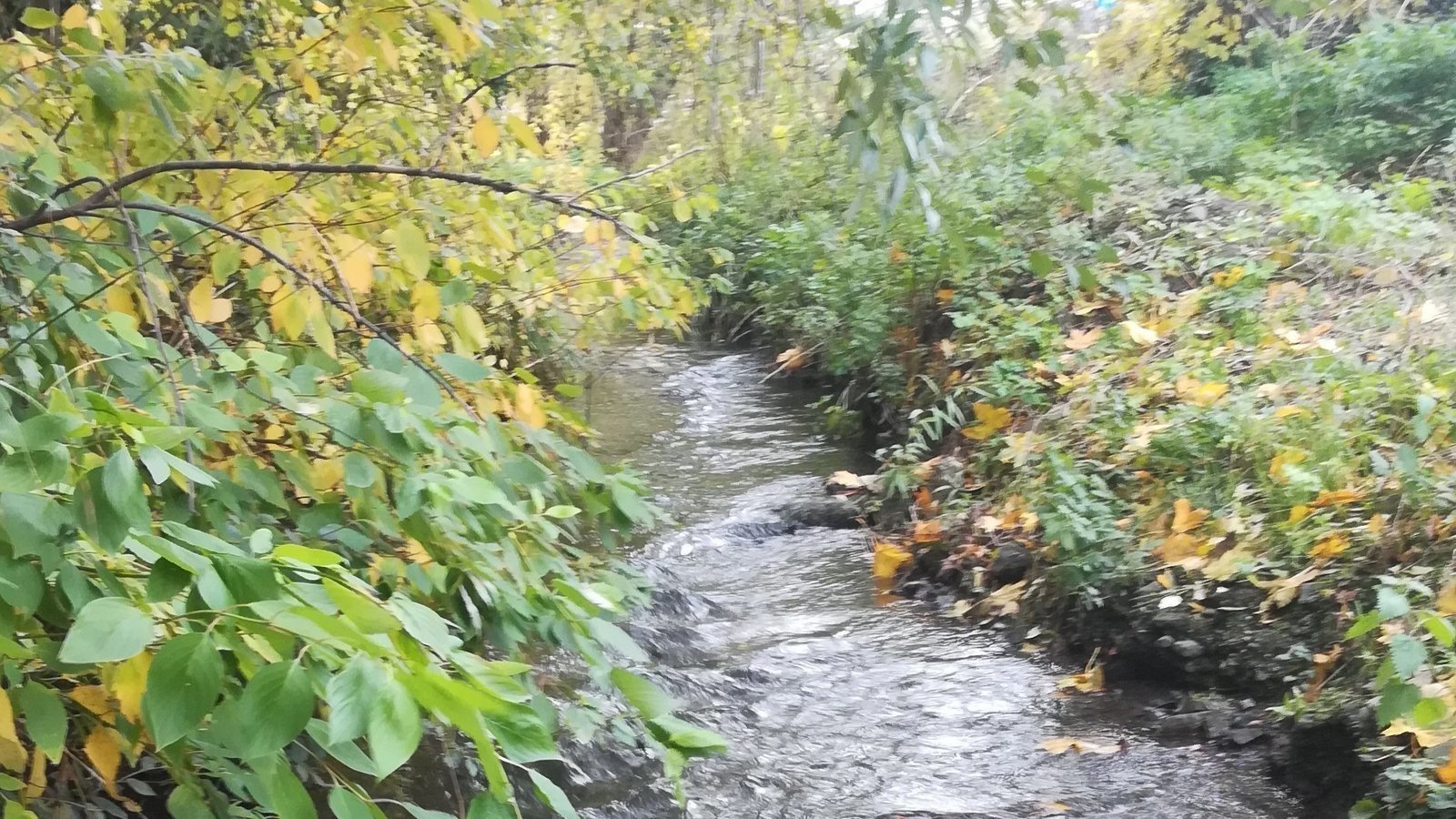 Petition · All People/All Rivers matter! - Ireland · Change.org