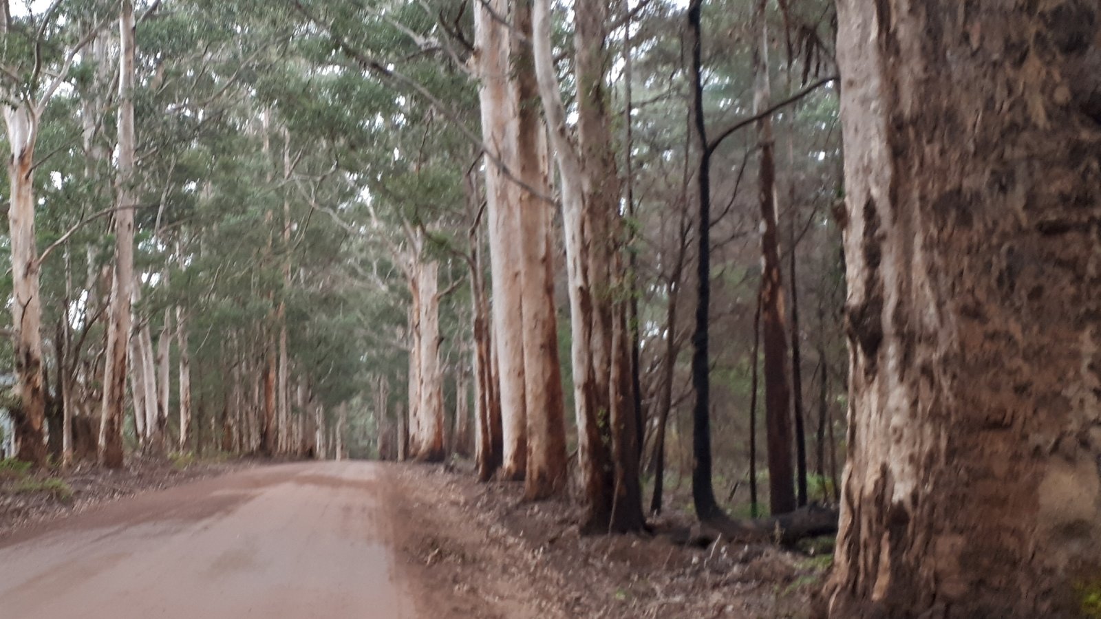 Petition · Seal OLD VASSE ROAD - Australia · Change.org