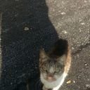 Petition · Ayuntamientos de españa: Eliminar las multas por alimentar ...