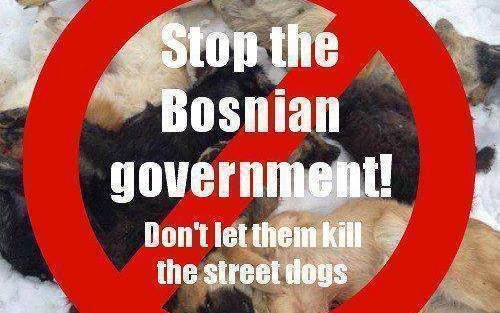 Petition · Bosnia and Herzegovina: This is why I stand AGAINST ...