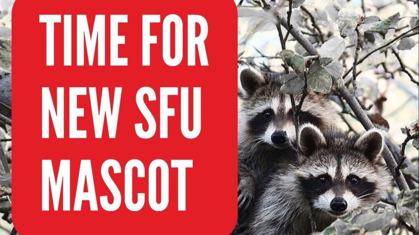 Petition · Make raccoon the official mascot of Simon Fraser University ...