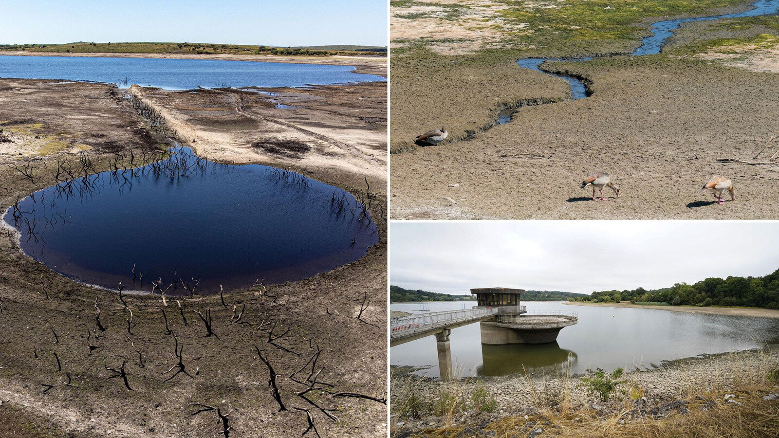 Petition · Build Build Build-- New Reservoirs - United Kingdom · Change.org