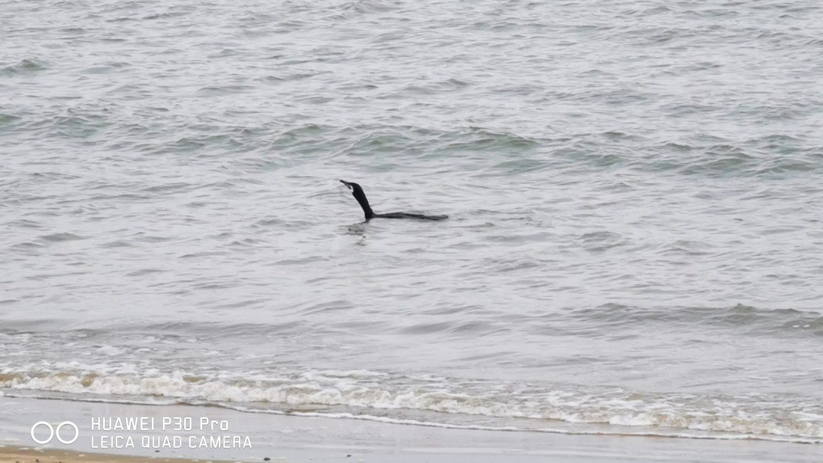 Petition update · Thank you and please keep sharing · Change.org ...