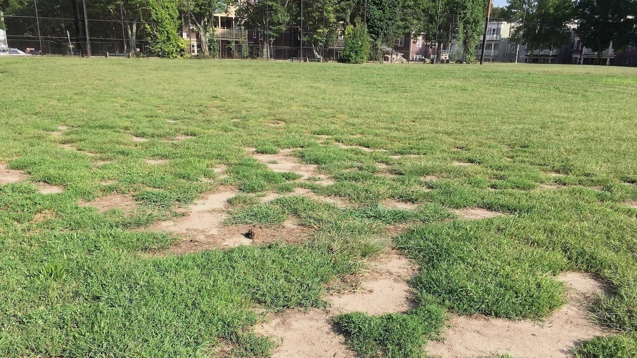 Petition · Fix the Playing Field at Murphy Field and Playground ...