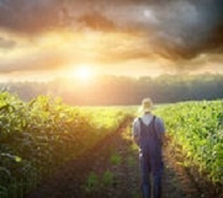 Petition · Save Our Farmland - Before it All Disappears - United States ...