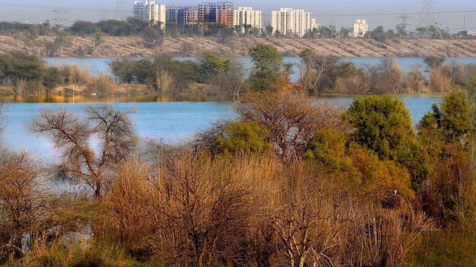 Petition · Save the sahibi - India · Change.org