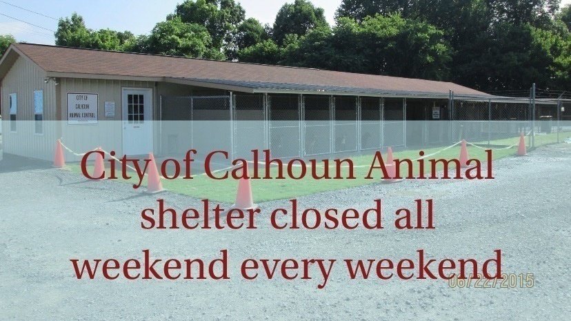 Petition · Change of Business hours For the City of Calhoun Animal ...