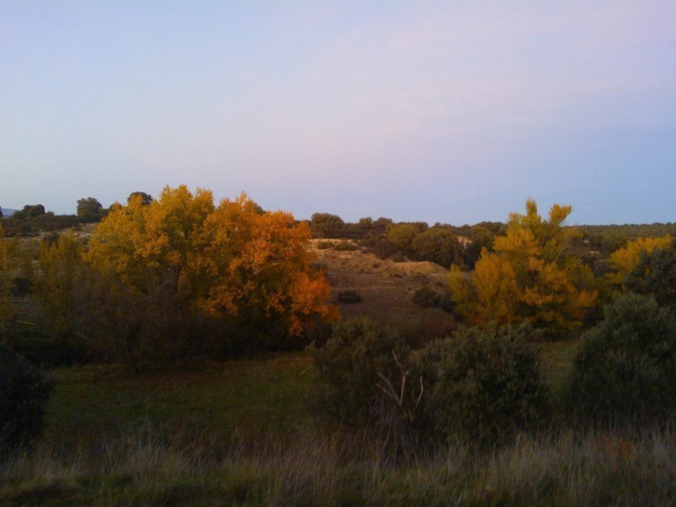 Petición · Salvemos El Garzo - Estados Unidos · Change.org