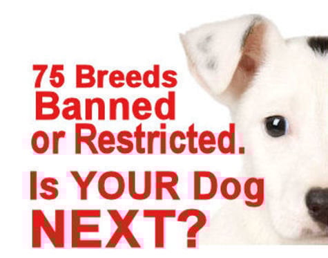 Petition · Ban Breed Specific Legislation! - United States · Change.org