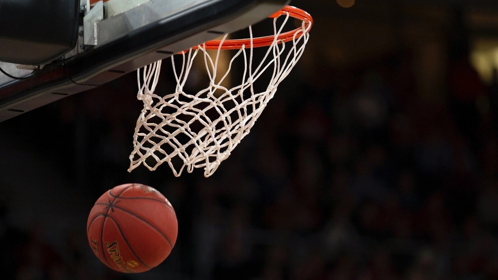 Petition · Establish a WNBA Team in Michigan and Revive Detroit Shock ...