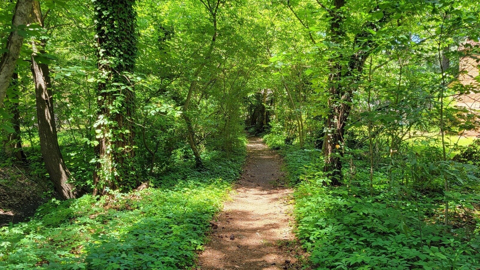 Petition · Prevent the Paving of the Beloved Violet Bank Trail ...