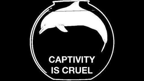 Petition · Release seaworld abuse victims - United States · Change.org