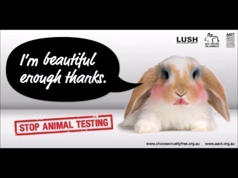 Petition · Stop Testing On Animals, Buy/Make Cruelty-Free Makeup ...