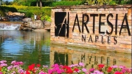 Petition · Artesia LOMR-F (Letter of Map Revision) - Naples, United ...