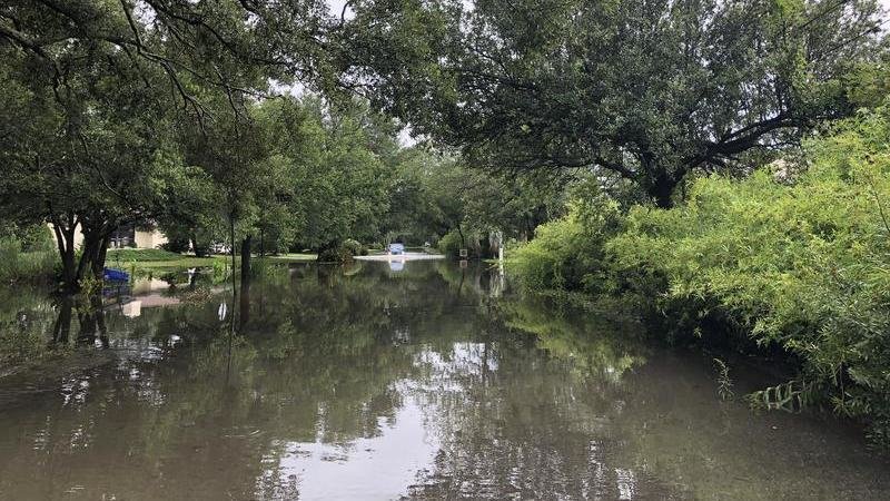 Petition · Ackerman Drive Flooding - Charleston SC - United States ...