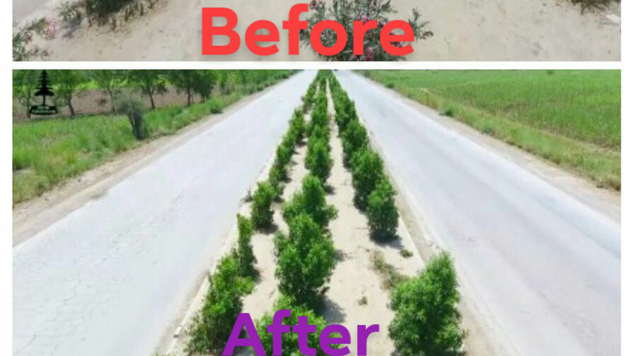 Petition · Say Yes! To Road Side Tree Planting - Philippines · Change.org