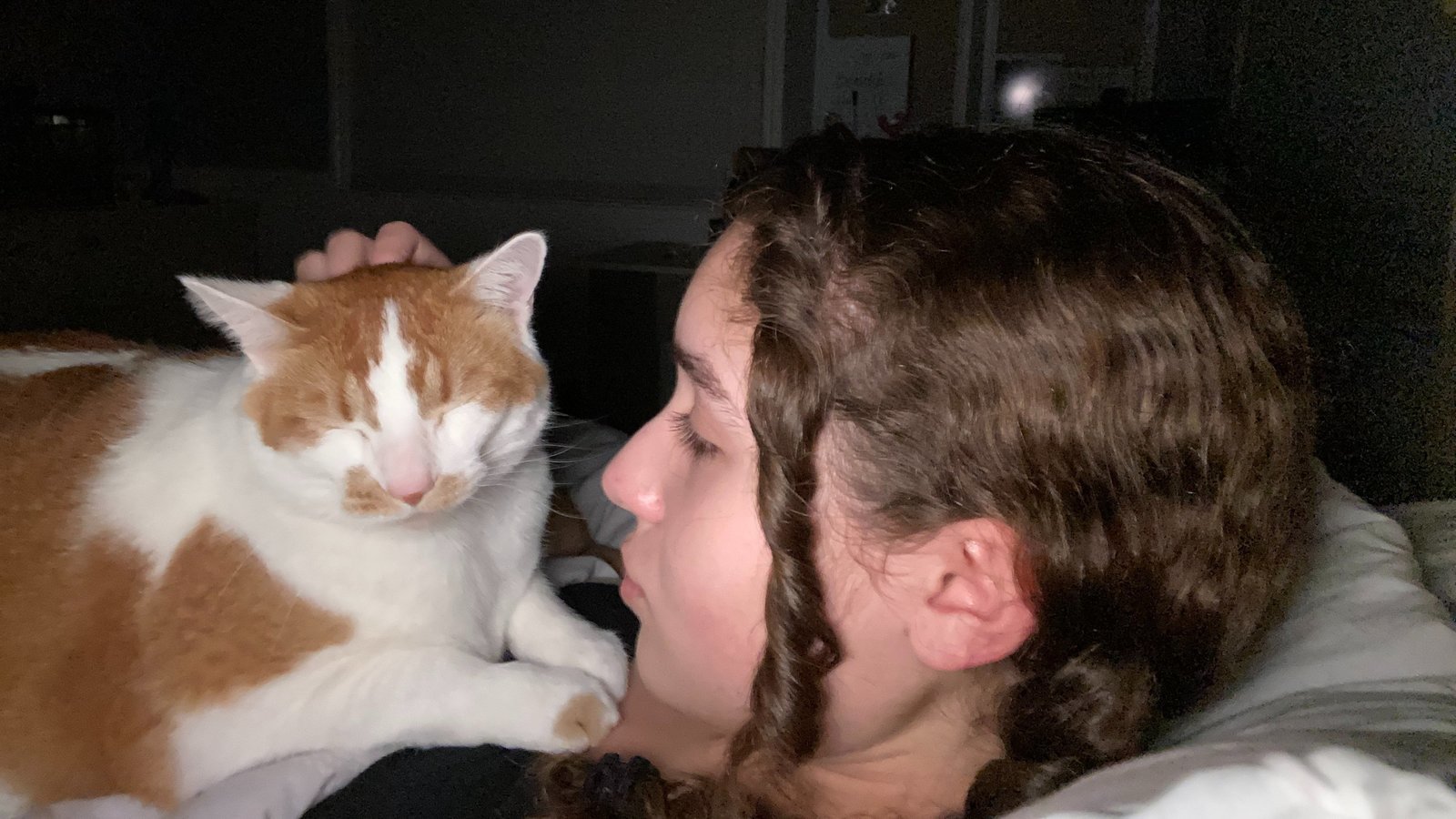 Petition · Give Grace Tyrrell Approval to Download TikTok - United ...