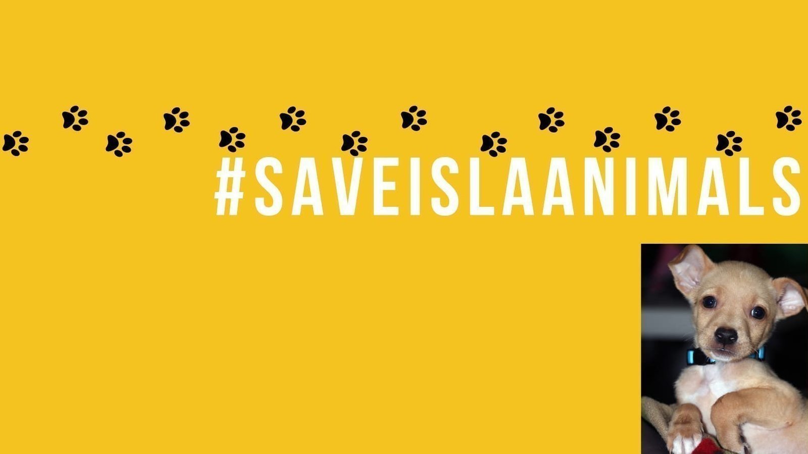 Petition · Save Isla Animals Rescue - The government is kicking us out ...