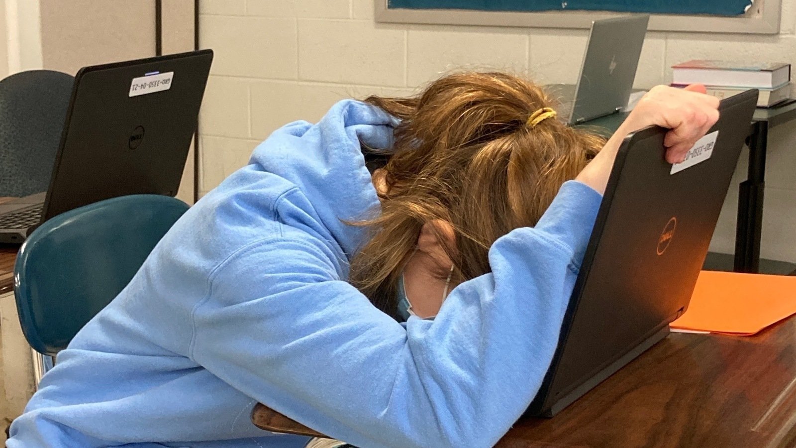 Petition · Let Bailey Go Home - United States · Change.org