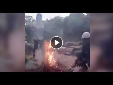 Petition · Stop Inhuman acts against animals! - India · Change.org