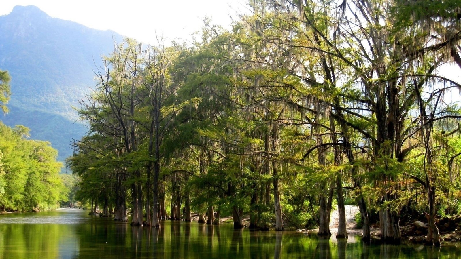 Petición · Salvemos El Río Ramos - México · Change.org
