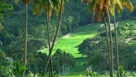 Petition · Save Our Goan Coconut Trees - India · Change.org