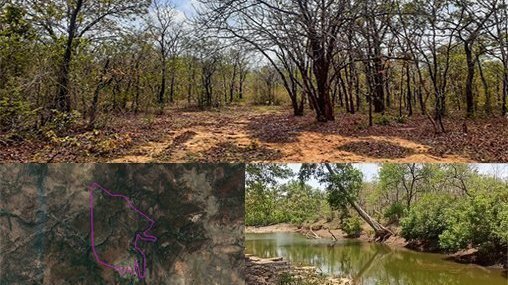 Petition · Reject Bunder diamond mining project - India · Change.org