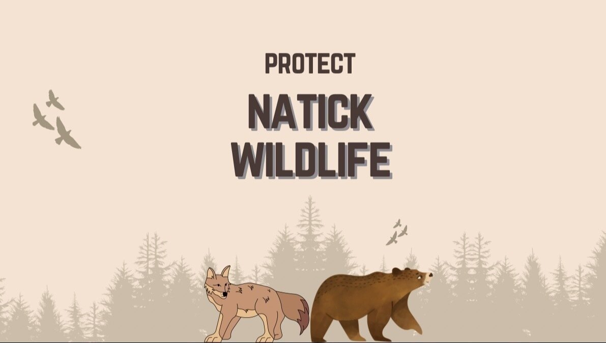 Petition · Protect Natick Wildlife—No Murdering Animals for Simply ...