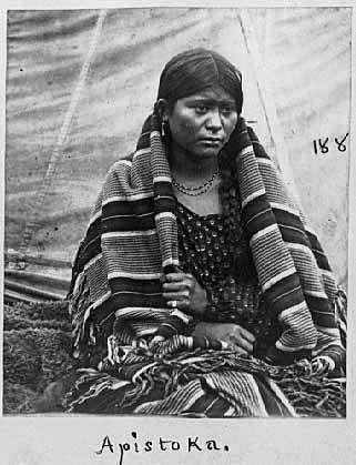 Petition · Metropolitan State University Ethnic Studies Department ...