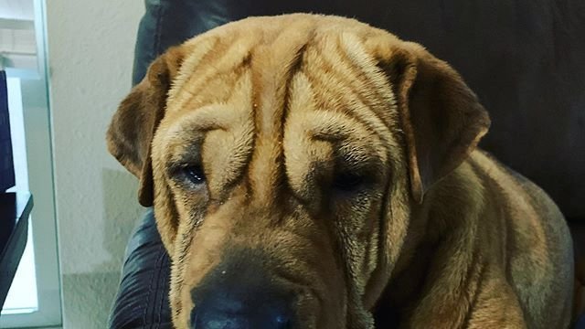 Petition · NO TECH THURSDAY - United States · Change.org