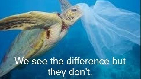 Petition · Ban plastic bags from the Great Barrier Reef and the islands ...